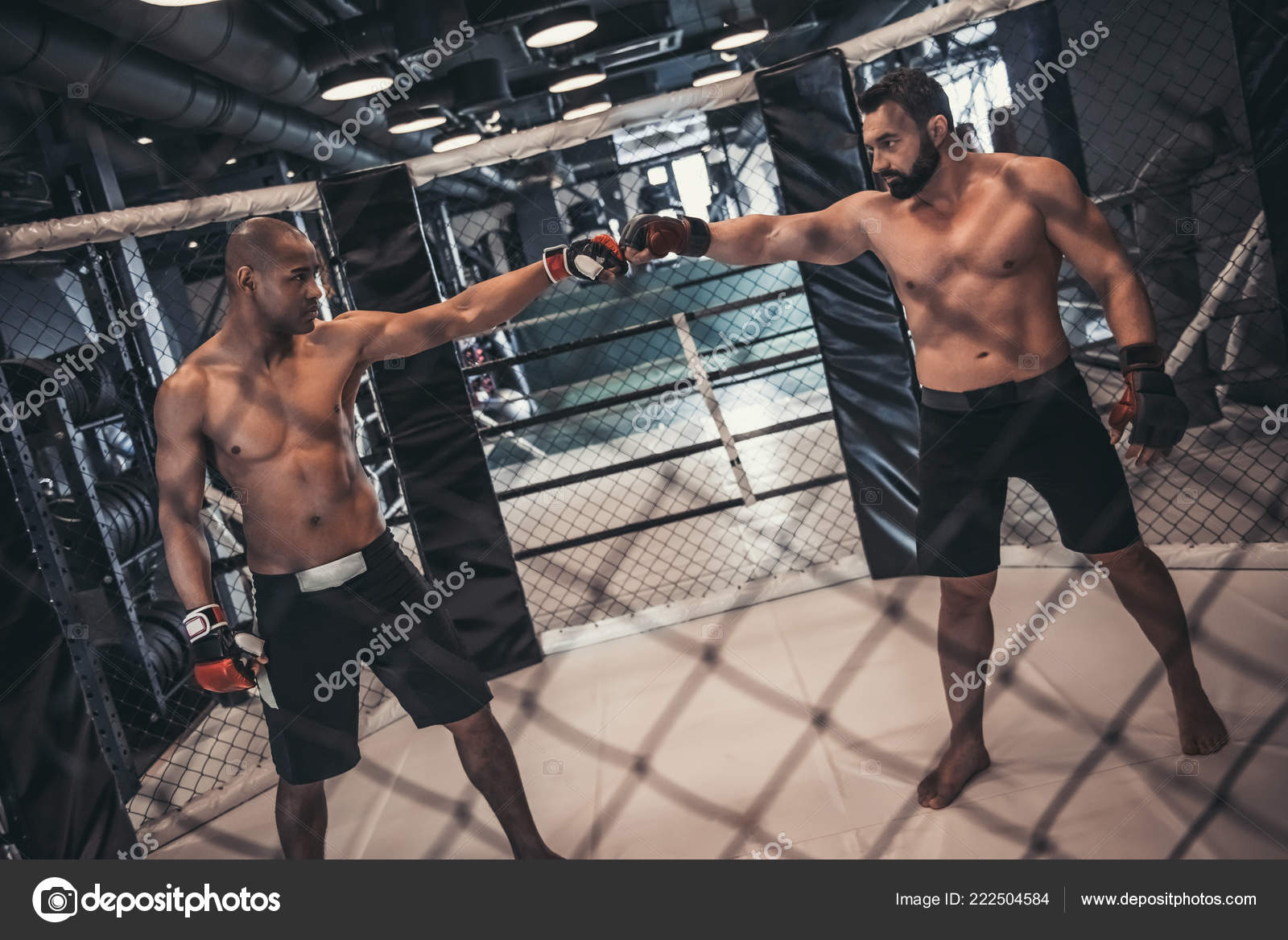 Two Men Boxing Gloves Shorts Ready Fight Cage Stock Photo by ...