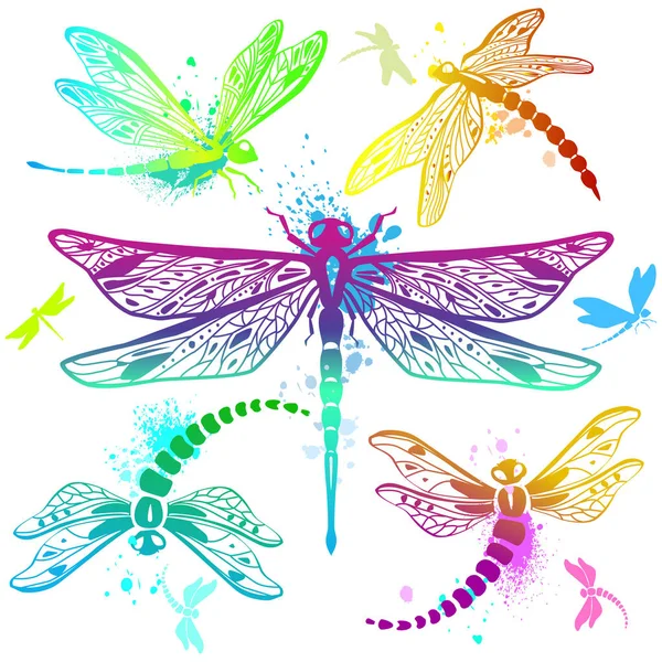 Set of decorative dragonflies Stock Vector Image by ©wikki33 #6080156