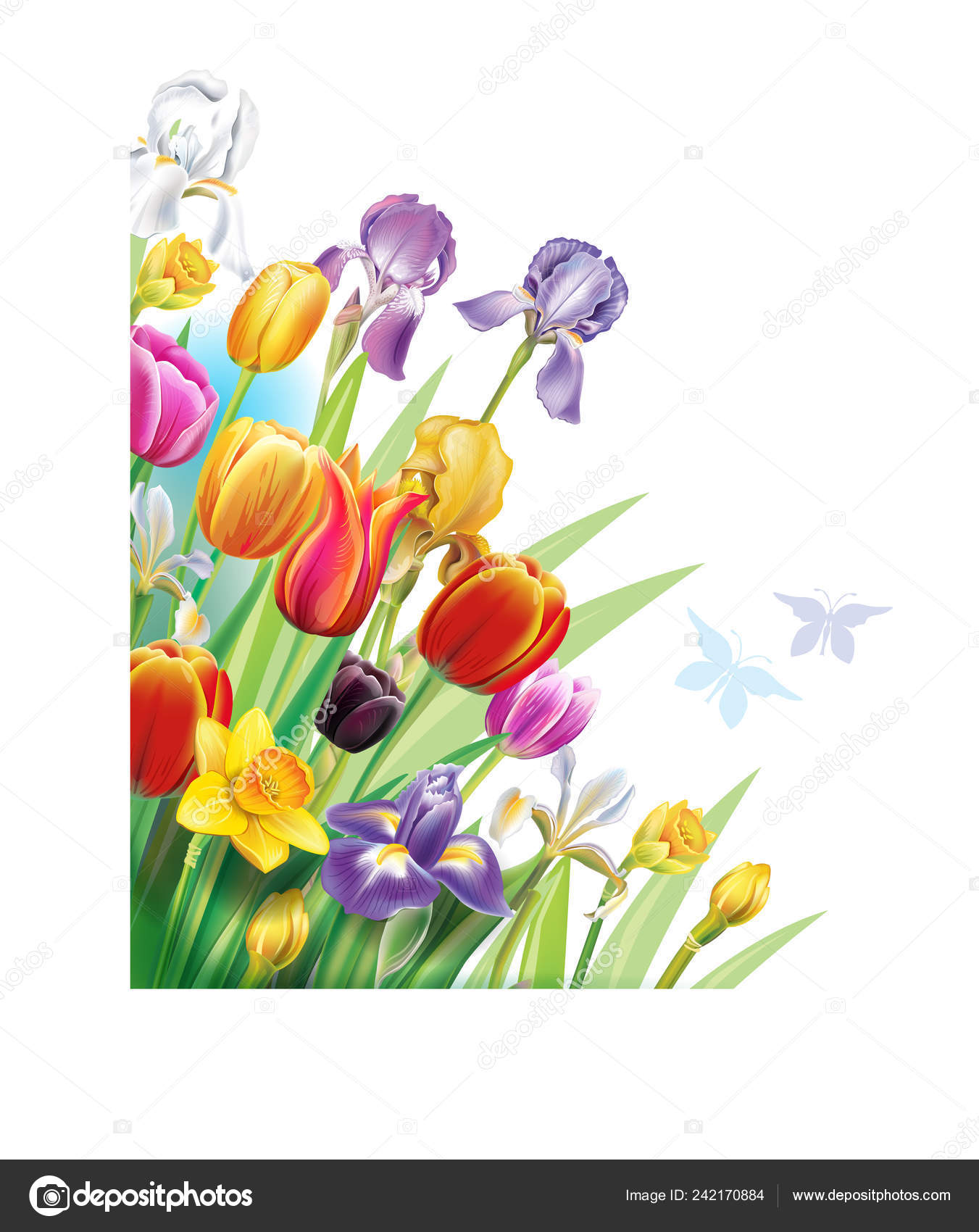 Spring Corner Border