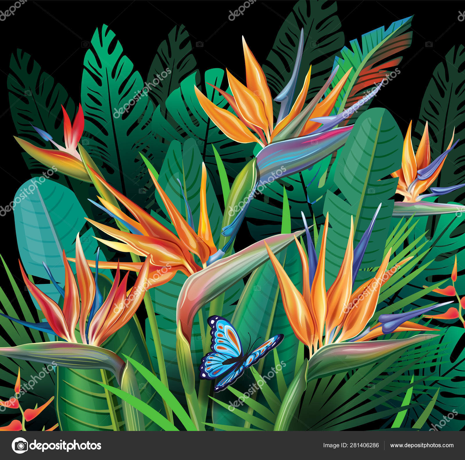 Jungle Flowers And Plants