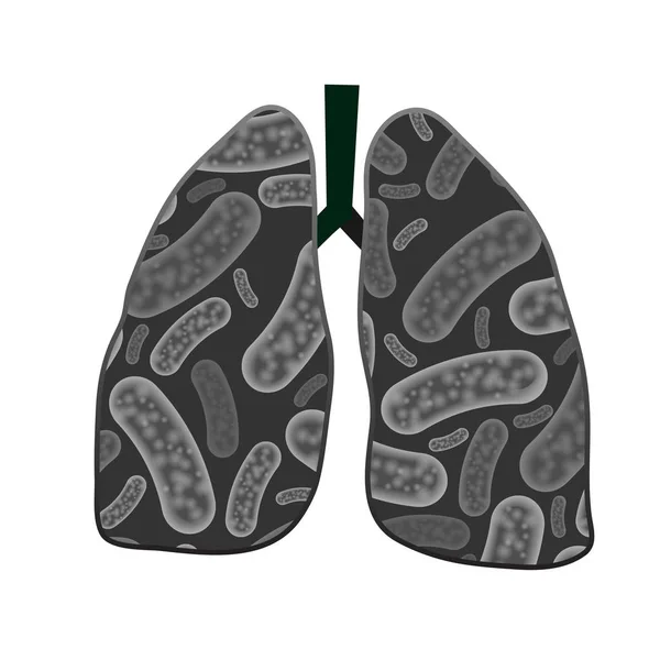 Internal organisms Vector Art Stock Images | Depositphotos