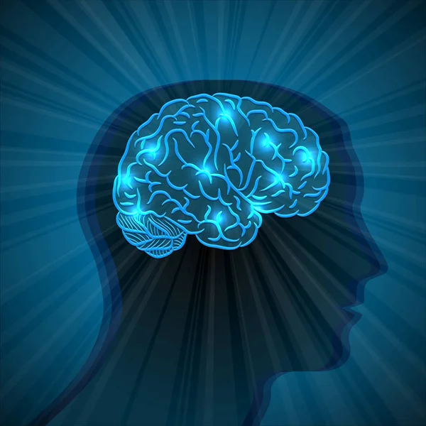 Human brain, cold mind Stock Vector Image by ©sergio77 #34012789