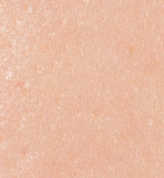 Skin background Stock Photos, Royalty Free Skin background Images ...