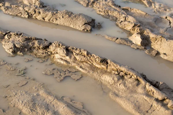 Mud puddle Stock Photos, Royalty Free Mud puddle Images | Depositphotos