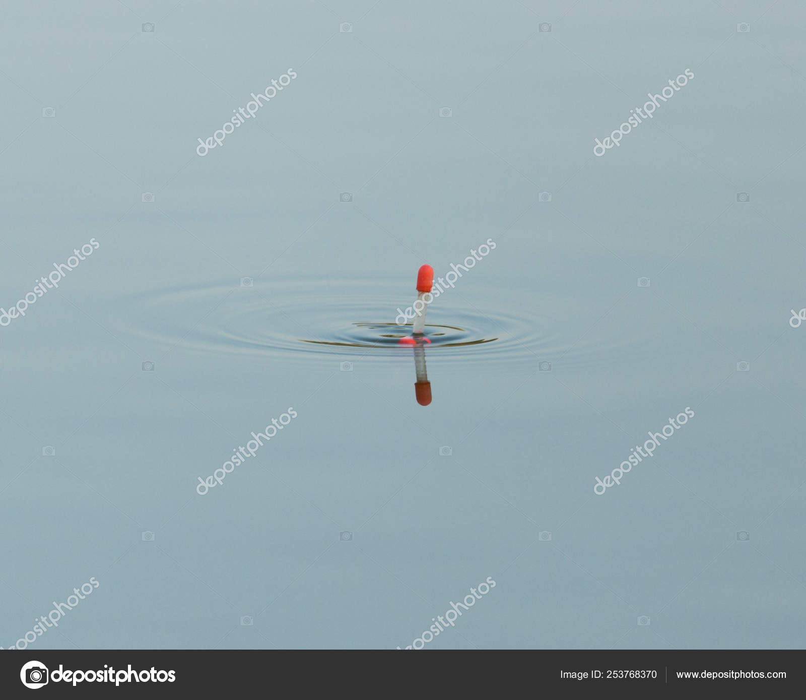Float for fishing on the water — Stock Photo © schankz #253768370