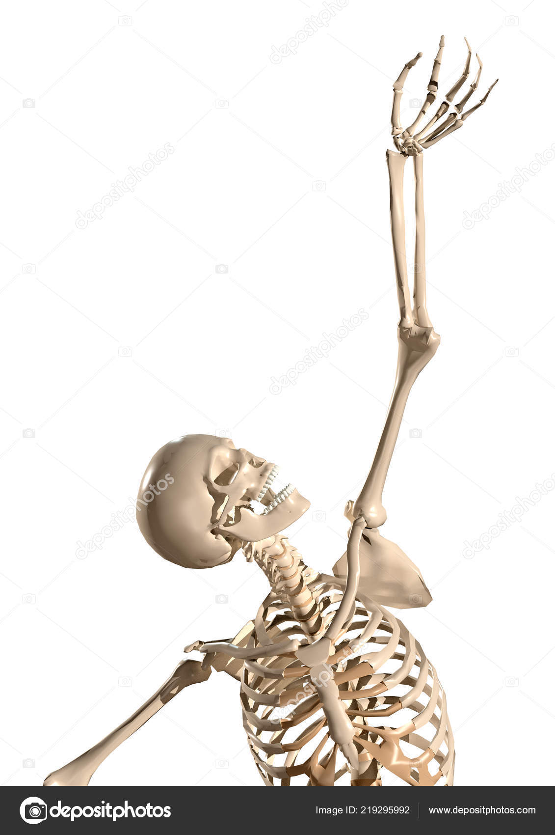 Skeleton Hand Reaching