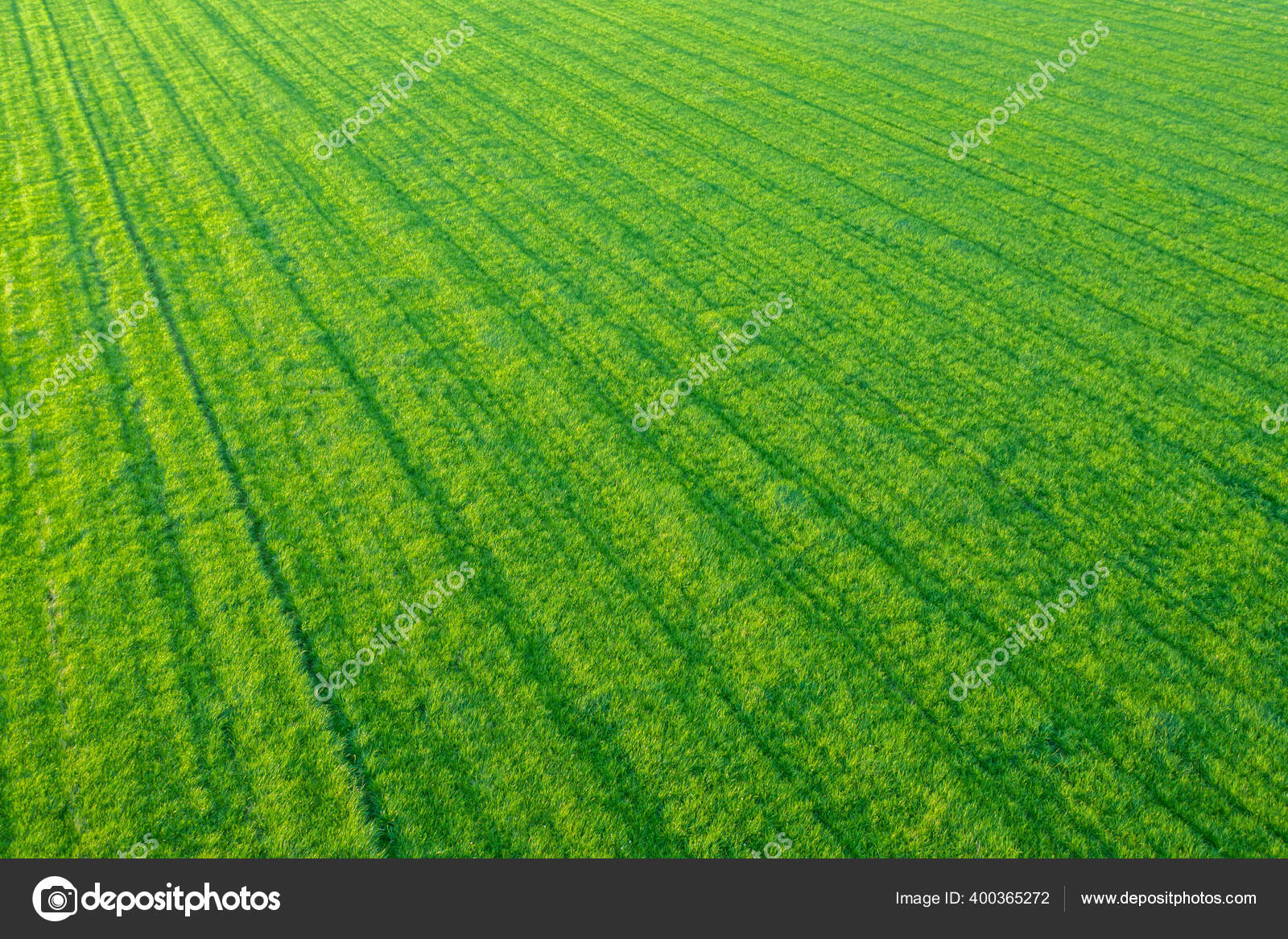 Aerial Abstract Background Diagonal Row Lines Agricultural Field Stock ...