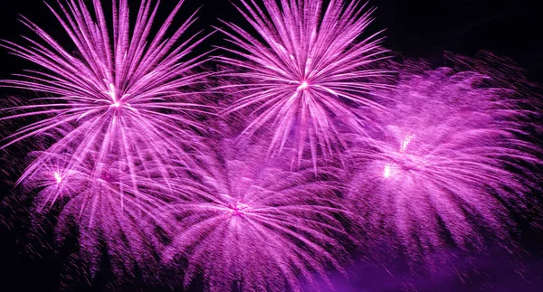 Fireworks purple Stock Photos, Royalty Free Fireworks purple Images ...