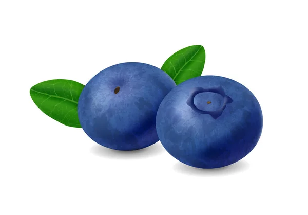 14,159,733 Fruta de israel Vector Images | Depositphotos