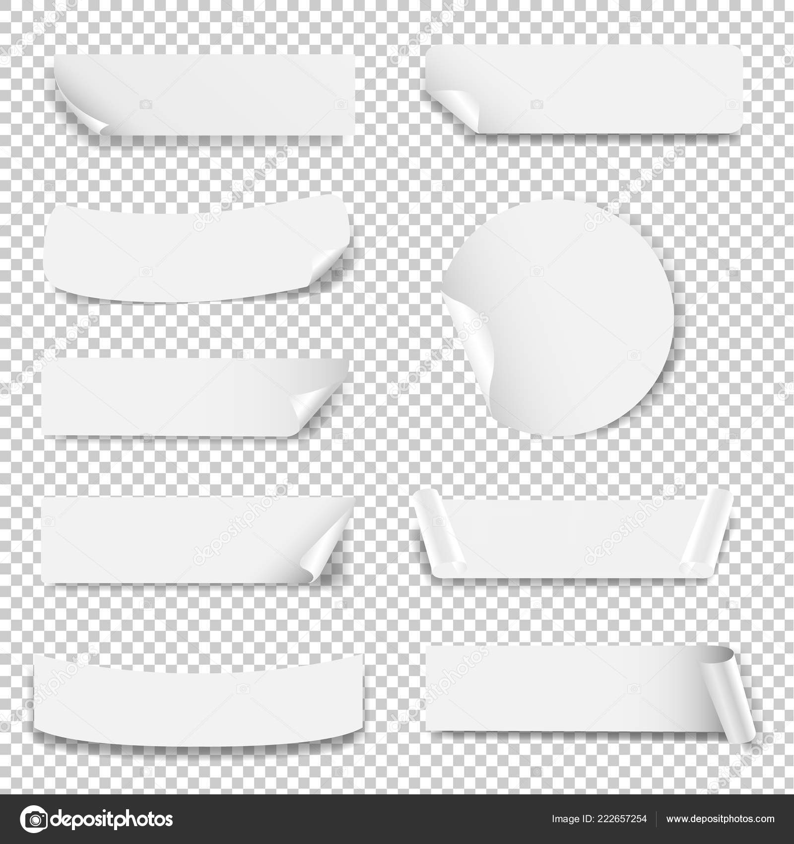 Label Isolated Transparent Backgroundwith Gradient Mesh Vector ...