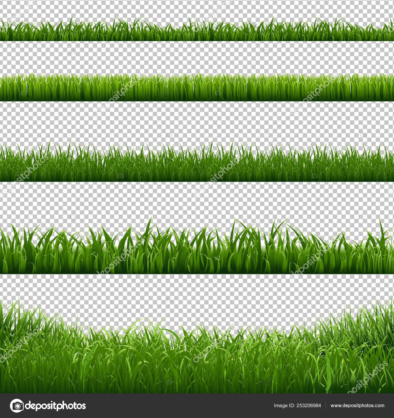 Batas Bingkai Rumput Latar Belakang Transparan Ilustrasi Vektor Vektor ...