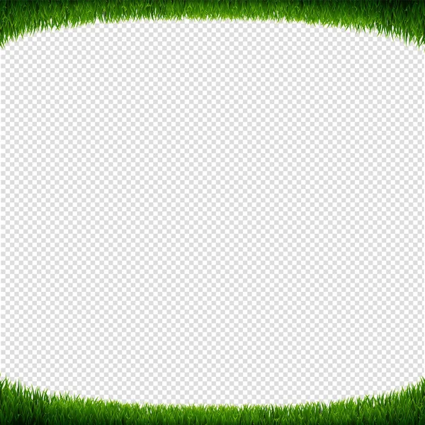 Grass Flowers Transparent Background Gradient Mesh Vector Illustration ...