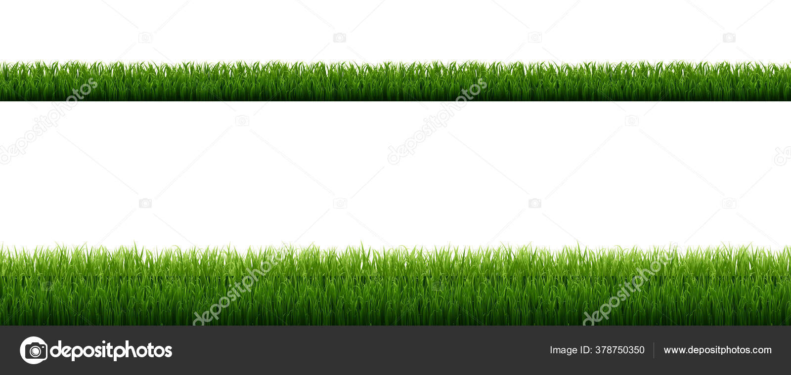 Batas Rumput Hijau Dengan Latar Belakang Putih Terisolasi Ilustrasi ...