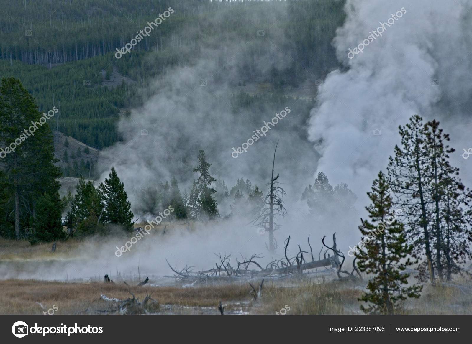 Earth Fire Steam Rises Thermal Areas Dawn Yellowstone Park — Stock ...