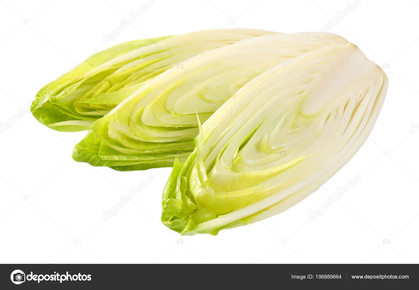 Fresh Belgian Endive Halves White Background Stock Photo by ©ajafoto ...