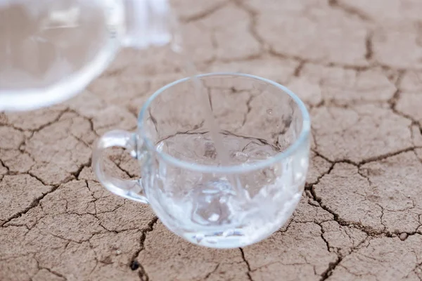 Pour water into a cup on dry ground. The concept of thirst, dehydration ...