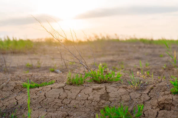 Imágenes de Conservación y remediación del suelo, fotos de Conservación ...