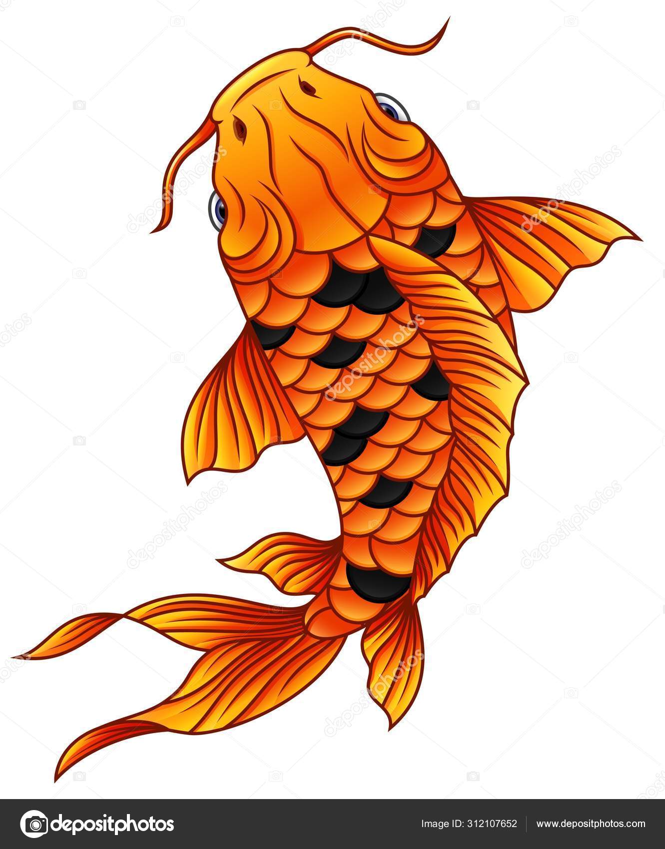 Cartoon Koi Fish Swimming White Background Stock Vector by ©dagadu ...