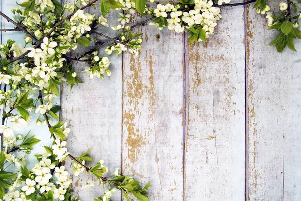 Beautiful Spring Flowers Wooden Background ⬇ Stock Photo, Image by ...