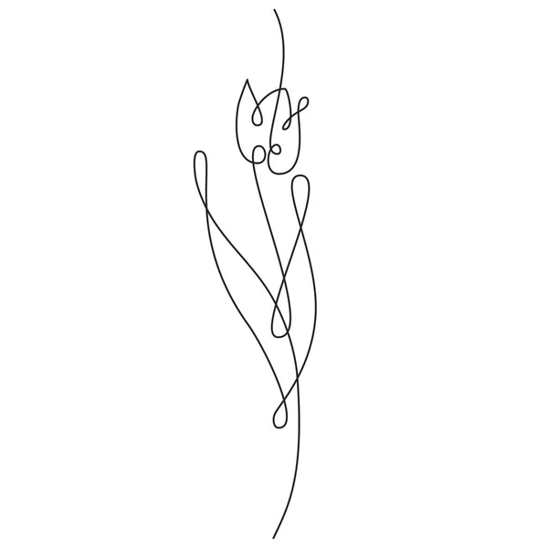 146 Tulip one line drawing Vector Images | Depositphotos