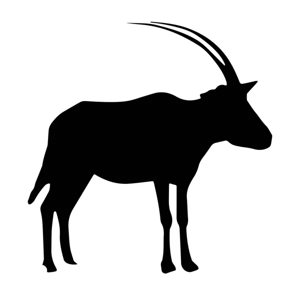 Gemsbok Stock Vectors, Royalty Free Gemsbok Illustrations | Depositphotos®