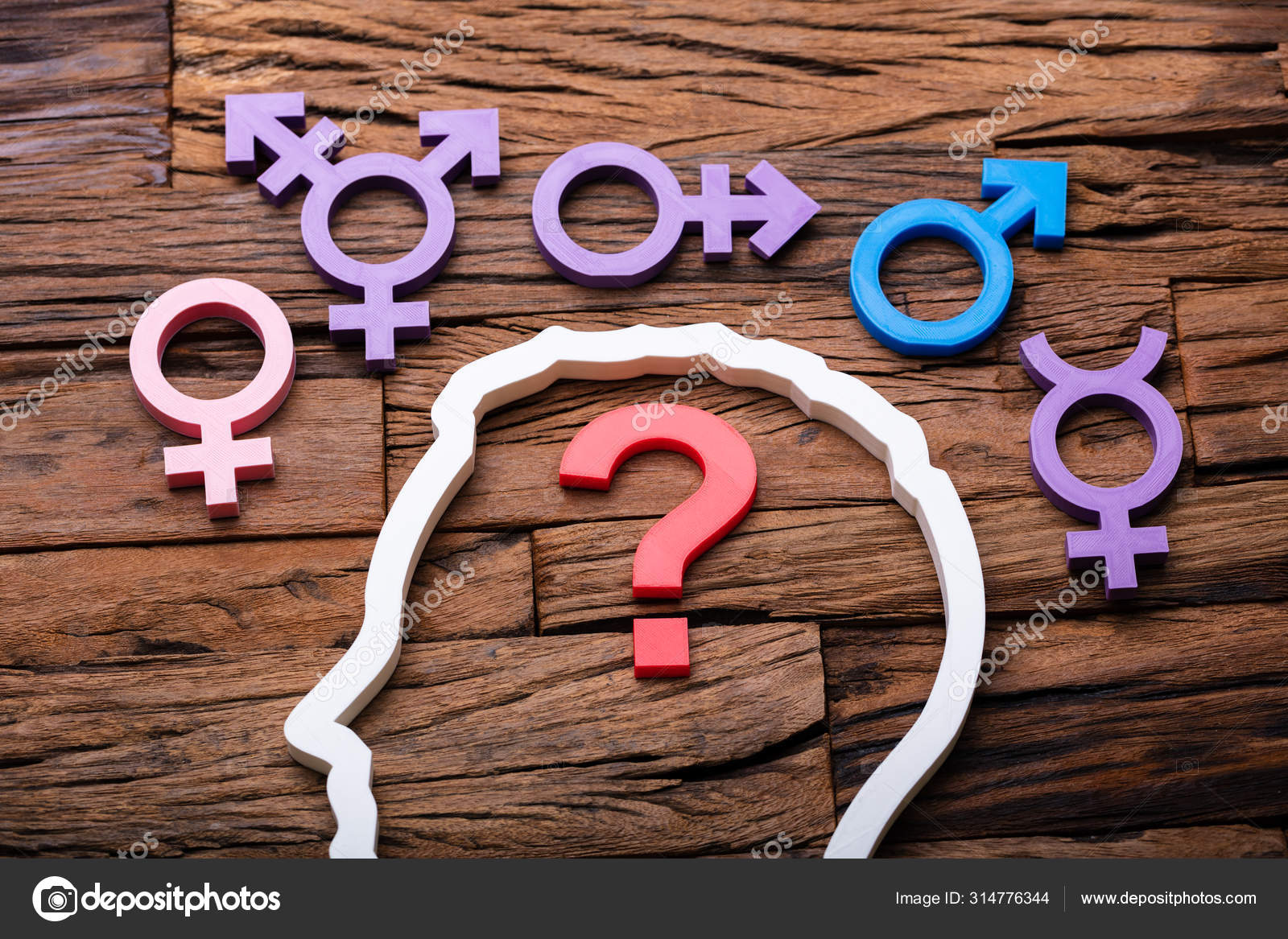 Question Mark Persons Head Outline Multiple Gender Signs ⬇ Stock Photo ...