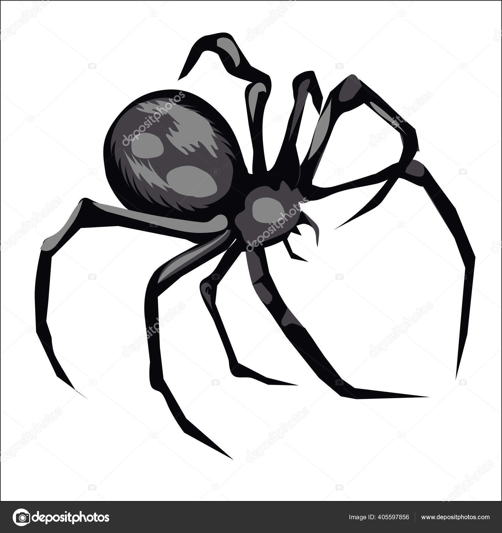 Spider White Background Isolated Illustration Sticker Print Spider ...