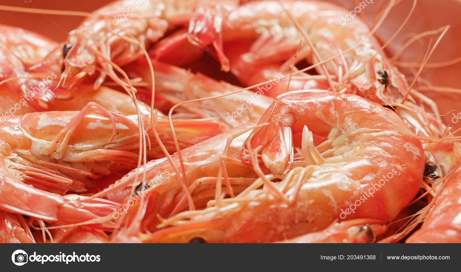 Undercooked Shrimp