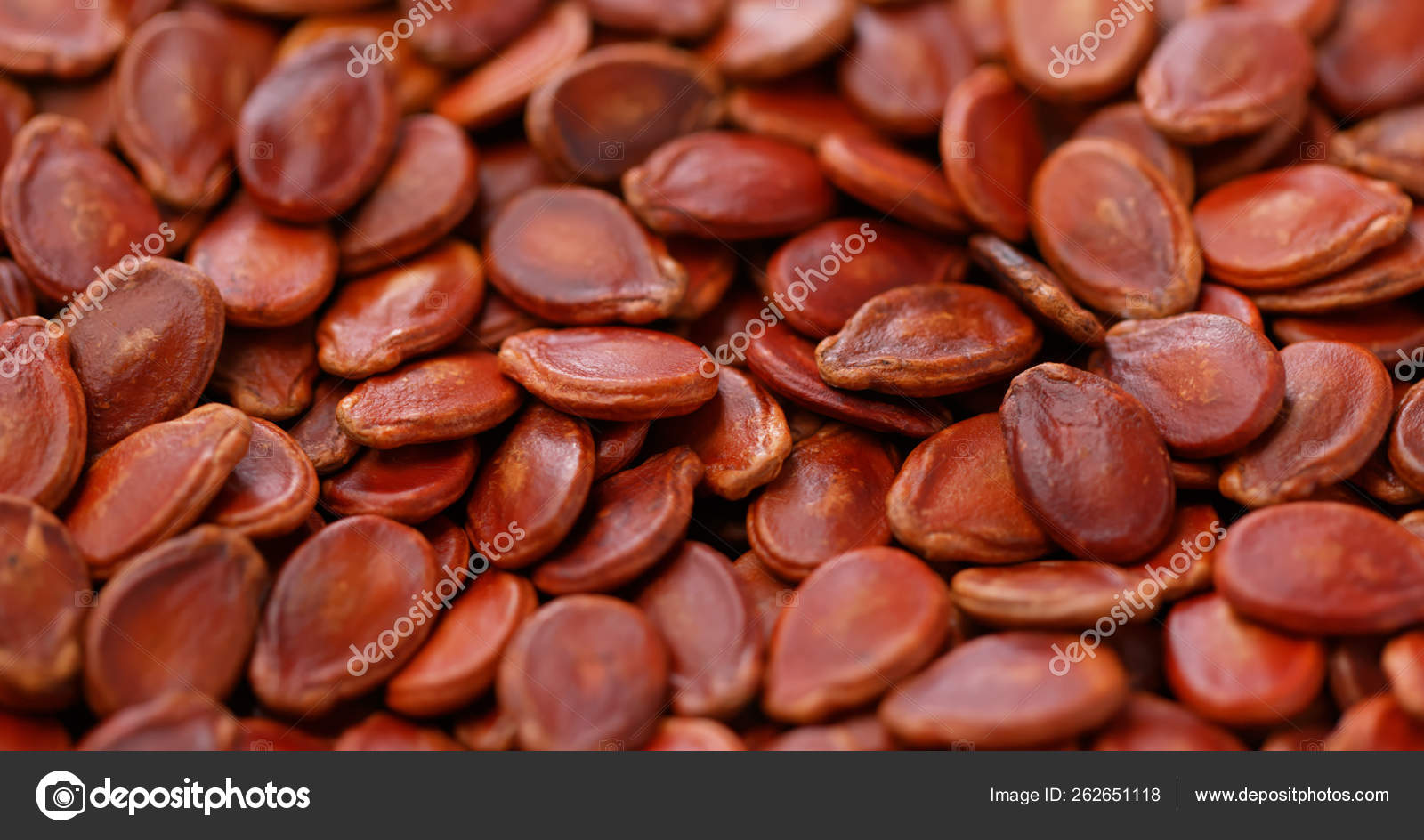 Red Melon Seeds