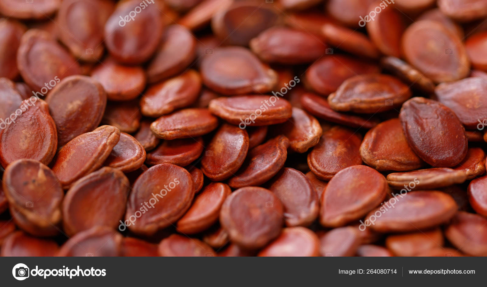 Red Melon Seeds