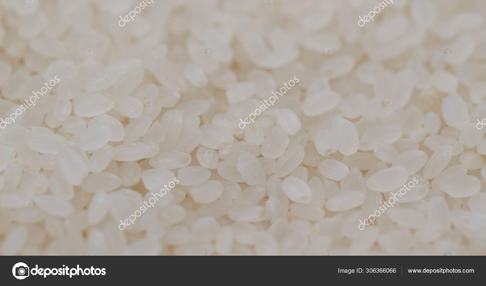 Group of White rice uncooked Stock Photo by ©leungchopan 306366066
