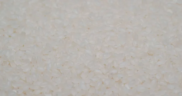 Panorama rice Stock Photos, Royalty Free Panorama rice Images ...