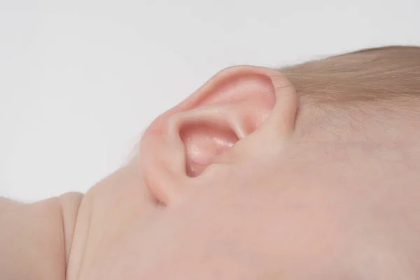 Baby ear Stock Photos, Royalty Free Baby ear Images | Depositphotos