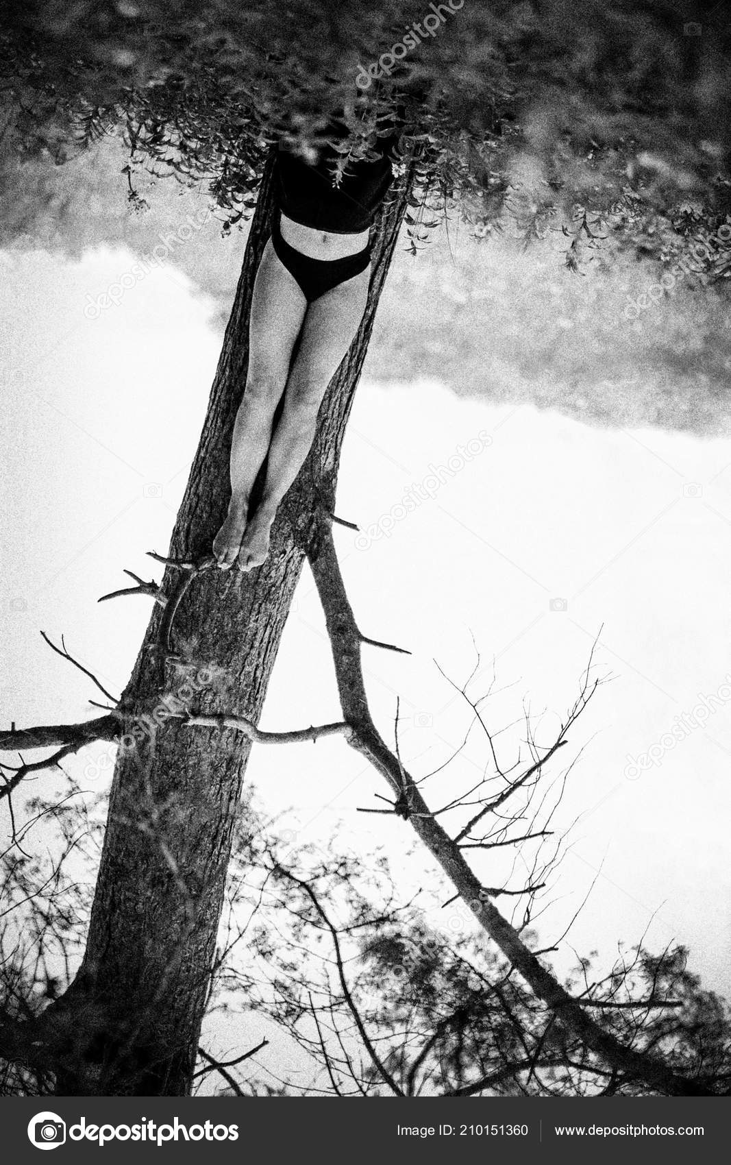 Woman Lying Ground Putting Legs Tree Trunk Strange Female Resting ...