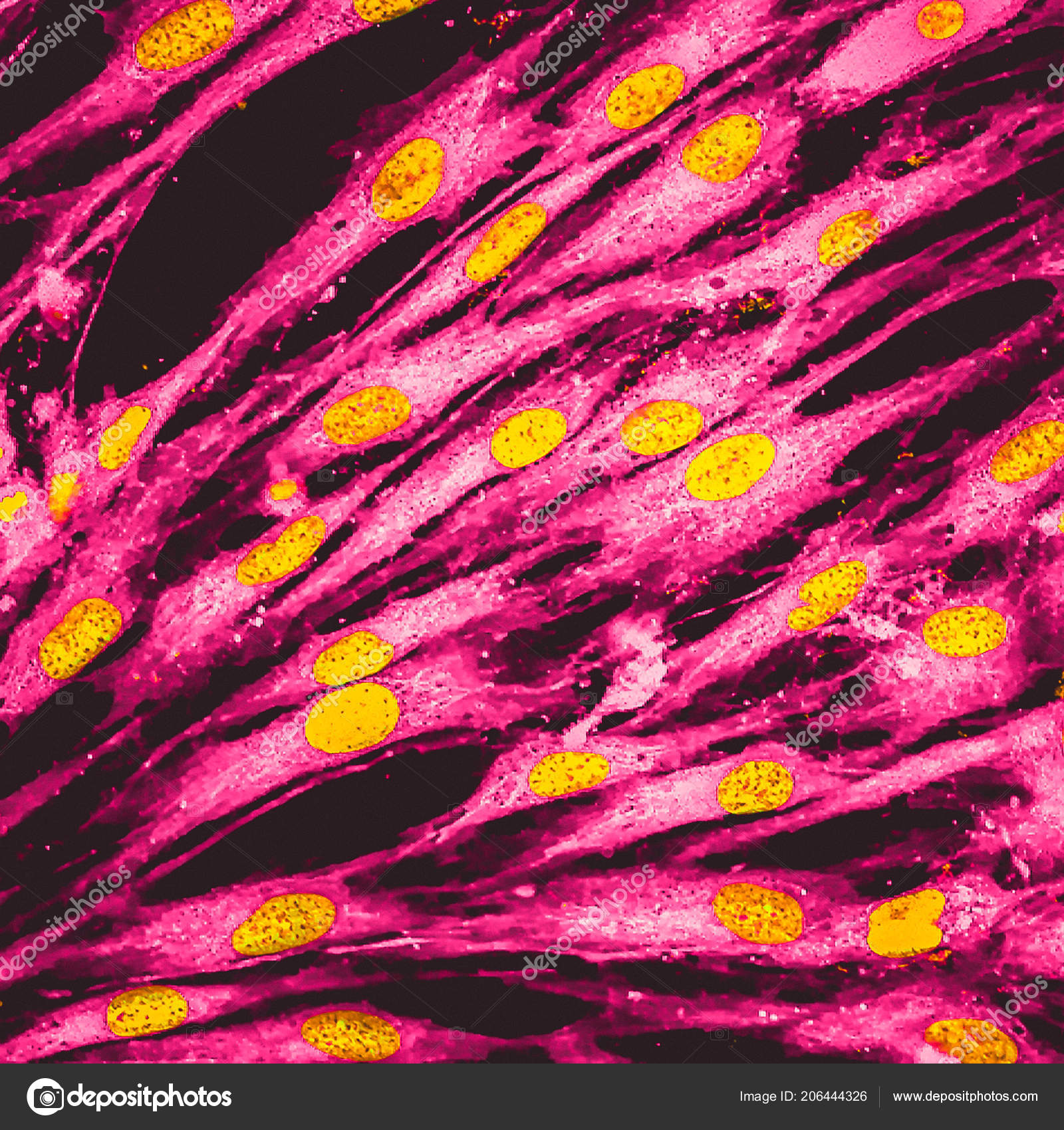 Human Skin Cell Microscope