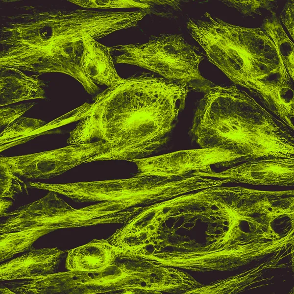 Skin cells Images - Search Images on Everypixel
