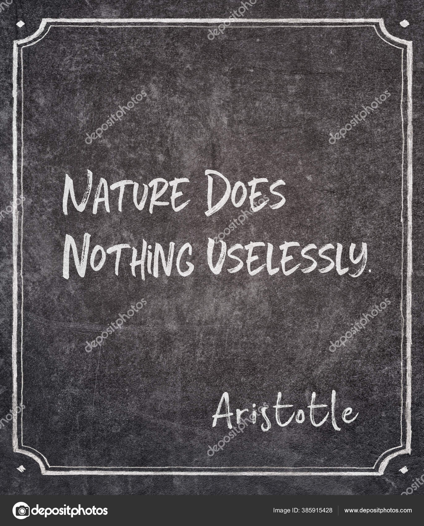 Nature Does Nothing Uselessly Ancient Greek Philosopher Aristotle Quote ...