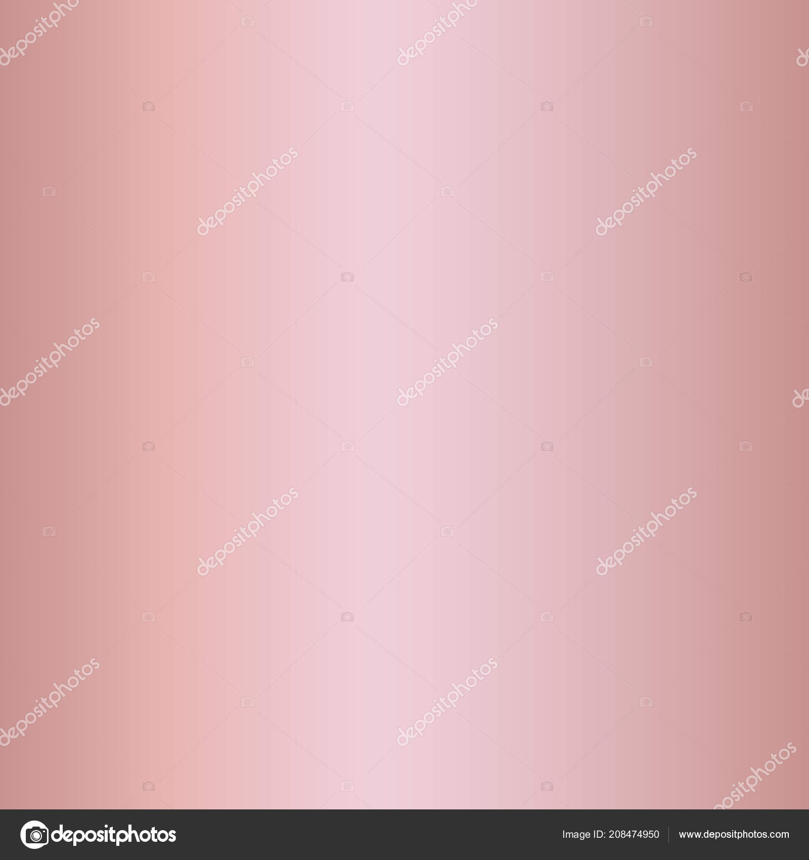 Pink Rose Gradients Collection Fashion Design Collection Shiny Rose ...