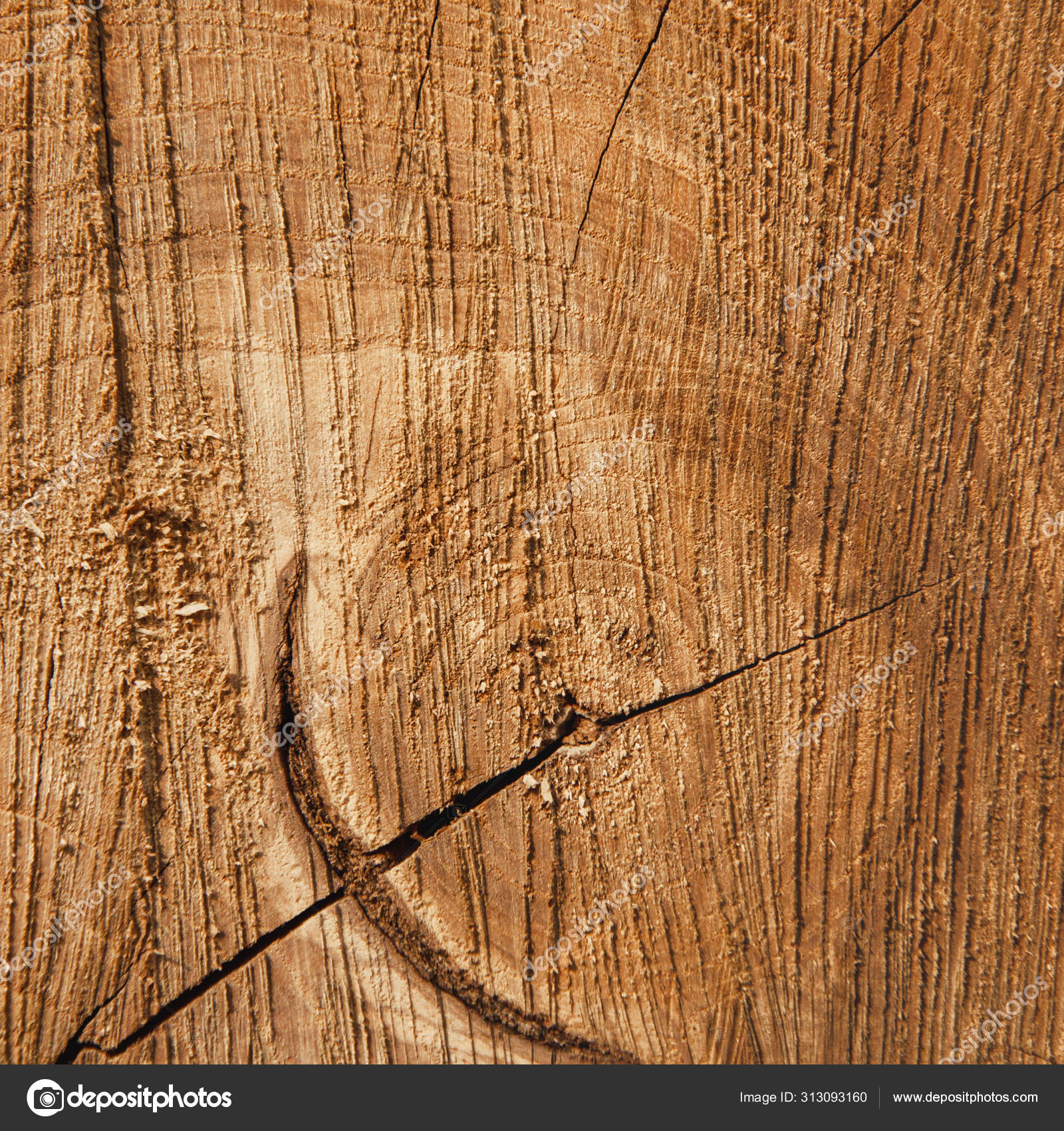 Old wooden oak tree cut surface. Detailed warm dark brown and or Stock ...