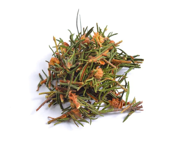 Thé du labrador images libres de droit, photos de Thé du labrador ...