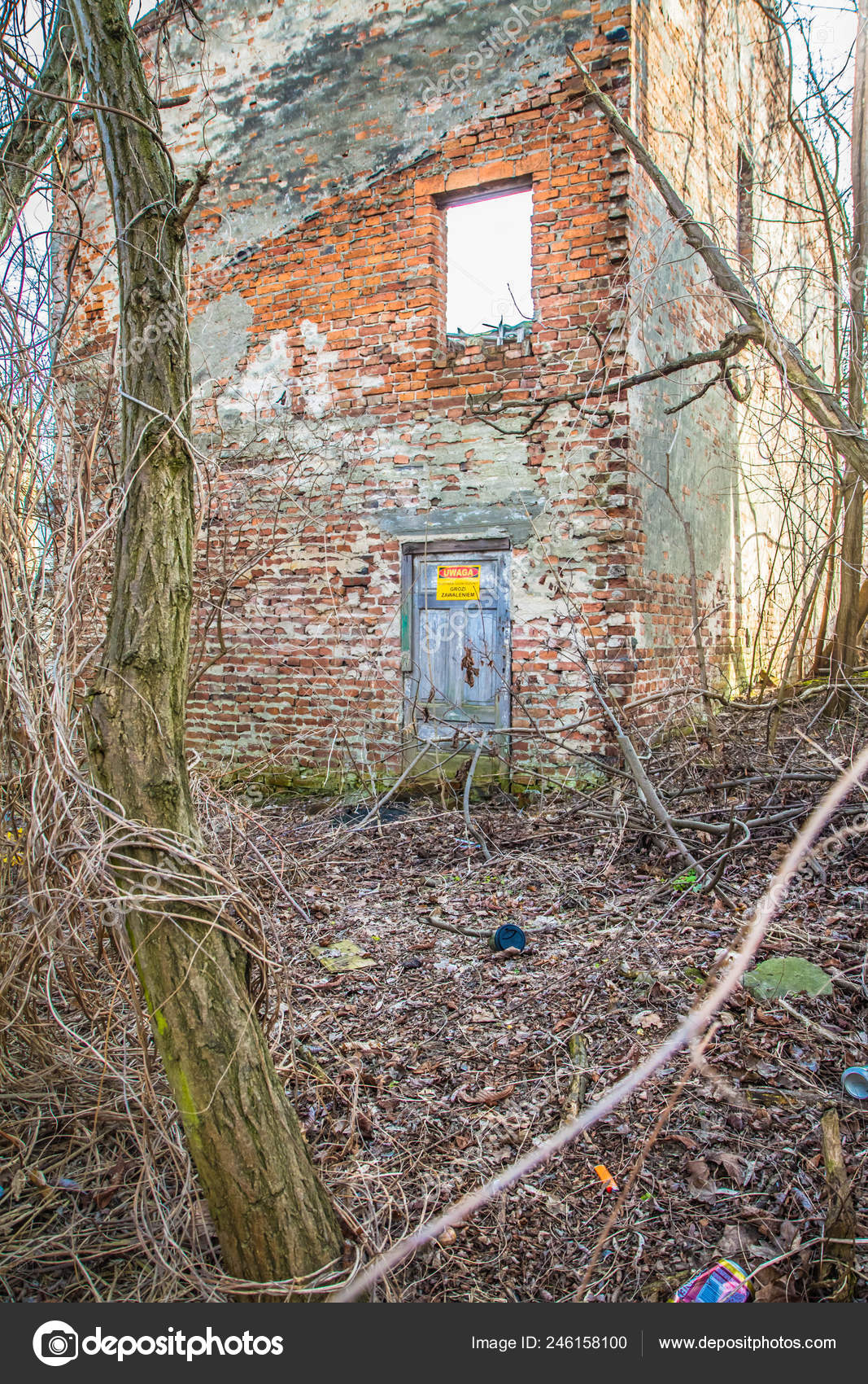 Abandoned House Collapse Trees Shrubs — Stock Photo © teine26 #246158100