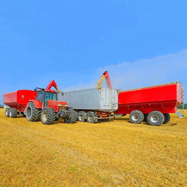 Overloading grain harvester into the grain tank of the tractor trailer ...