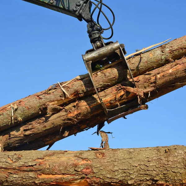 Timber harvester Stock Photos, Royalty Free Timber harvester Images ...