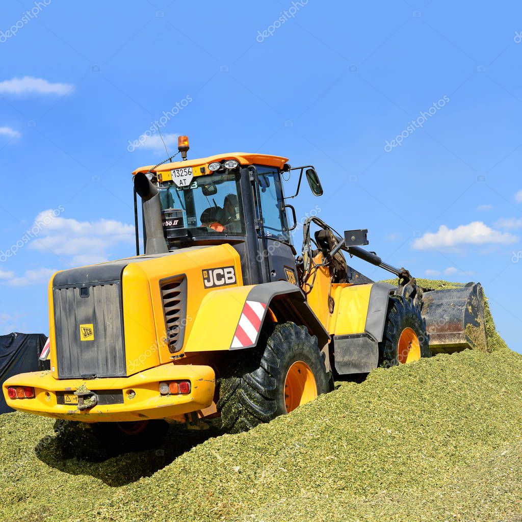 Kalush, Ucrania 14 de septiembre de 2017: Ramming of corn silage in the ...