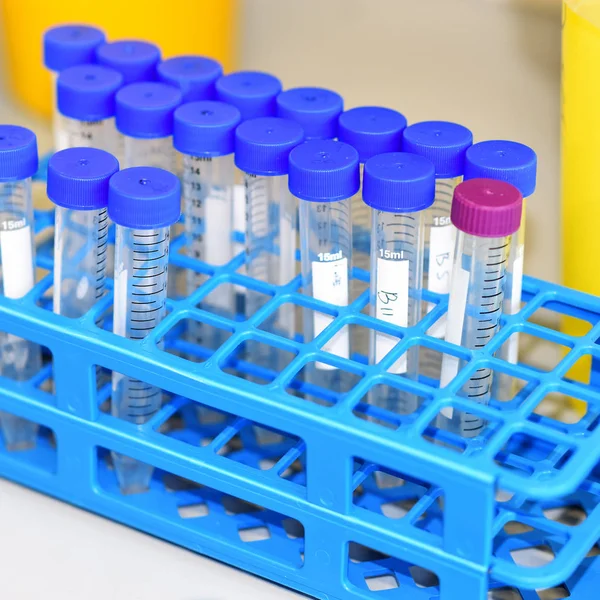 Rack Many Falcone Tubes Containig Solutions Biophysical Research Stock ...