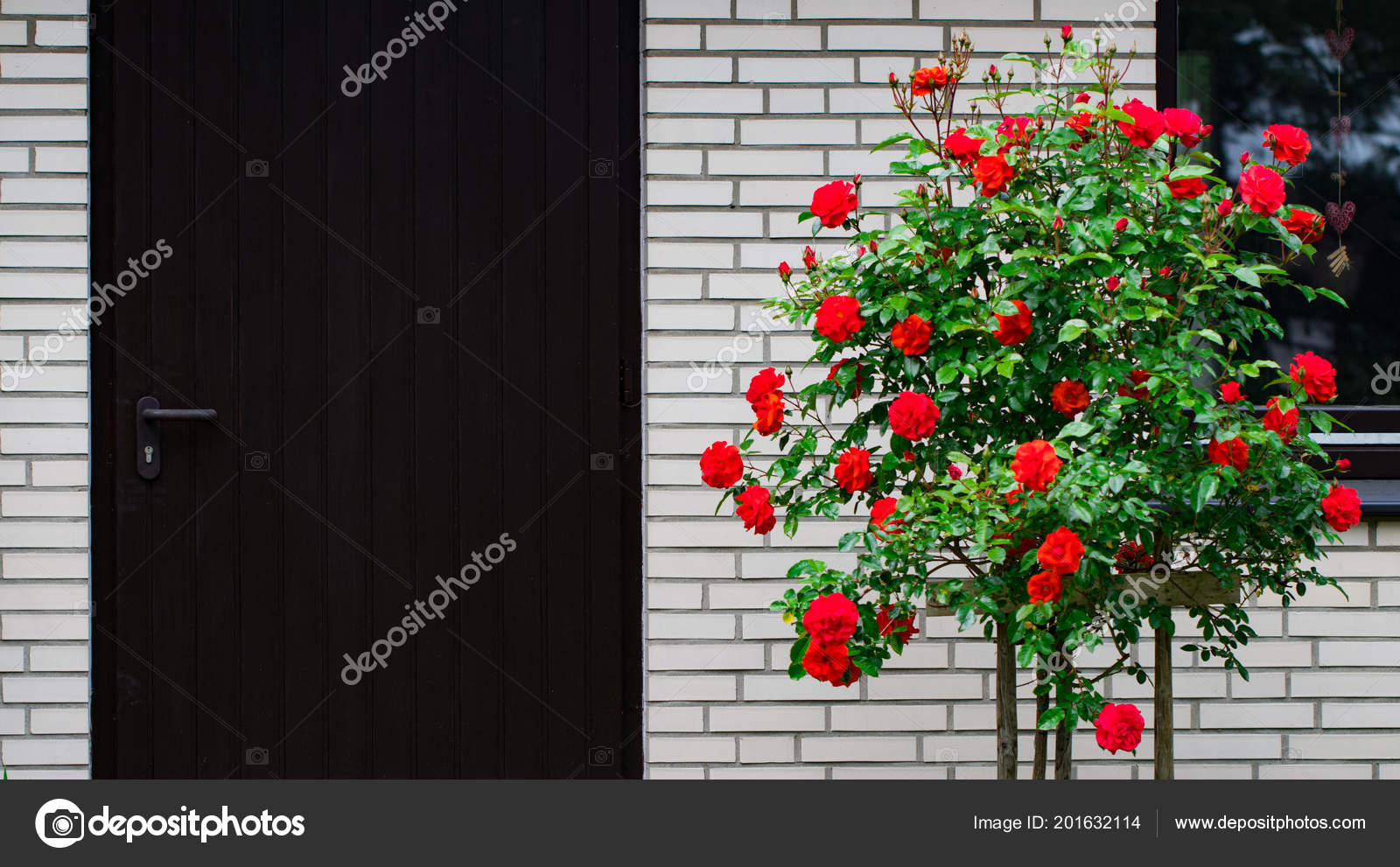Romantic Yard Door Surrounded Roses Stock Photo by ©alex_skp 201632114