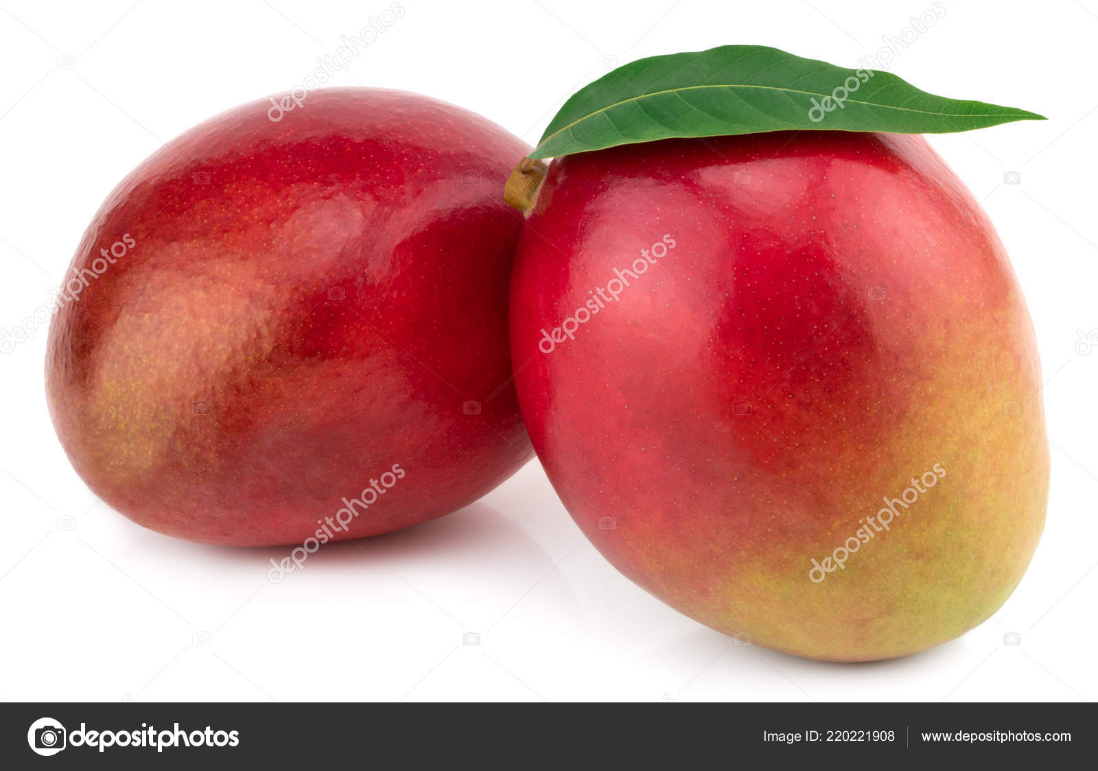Two Whole Mangoes Green Leaf Isolated White Background Clipping Path ...