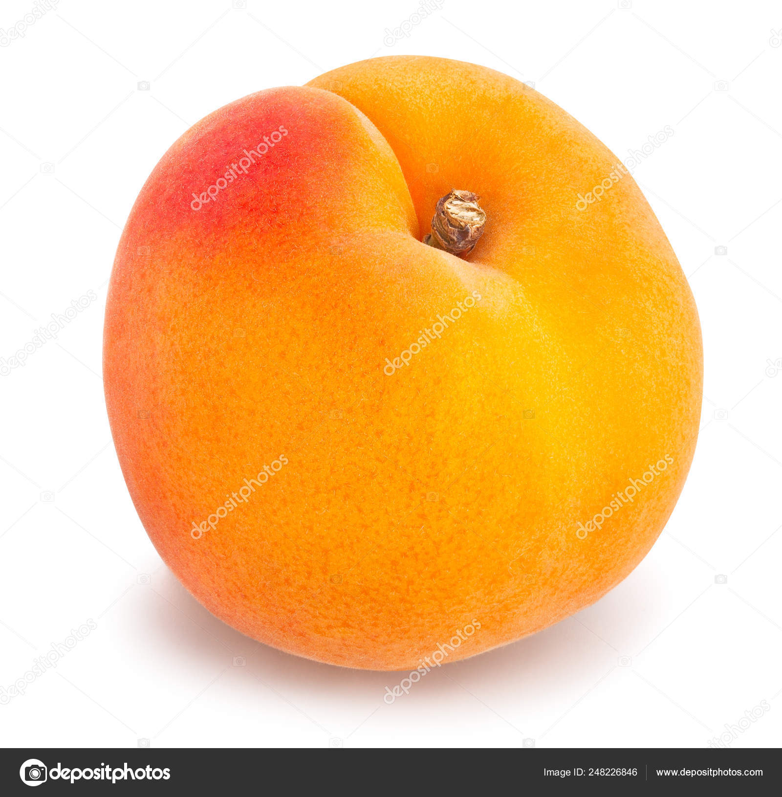 Apricot — Stock Photo © bergamont #248226846