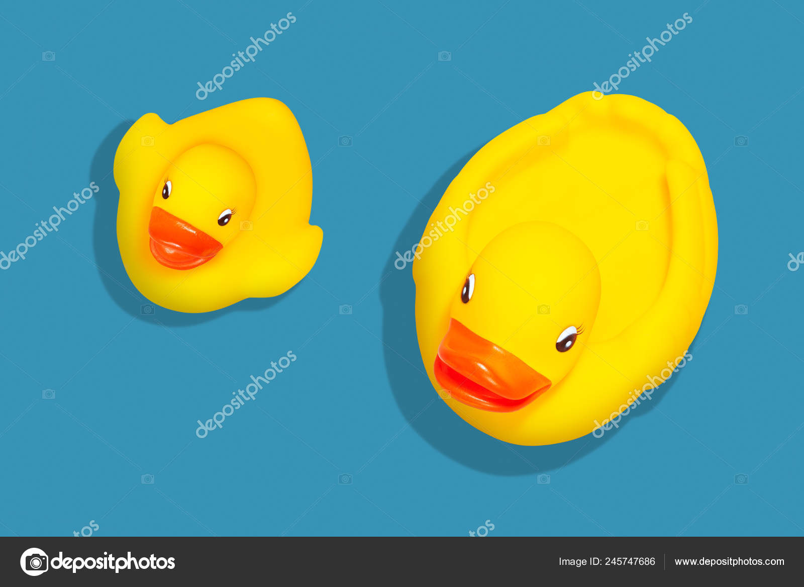 Big Little Toy Ducks Set Shadows Blue Background View Abow Stock Photo ...