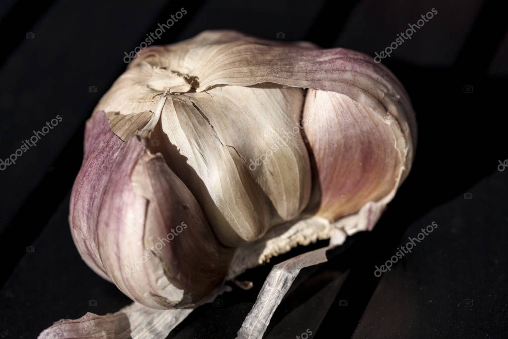 Primer plano de ajo blanco (Allium sativum) con cáscara. Ajo crudo ...